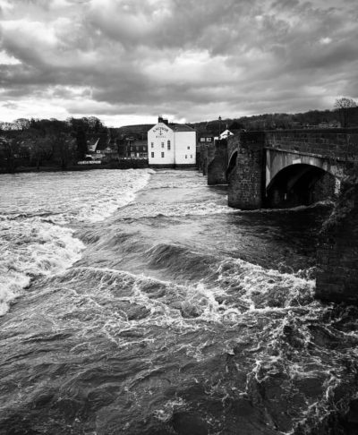 Tyne Rivers Trust | Haydon Bridge