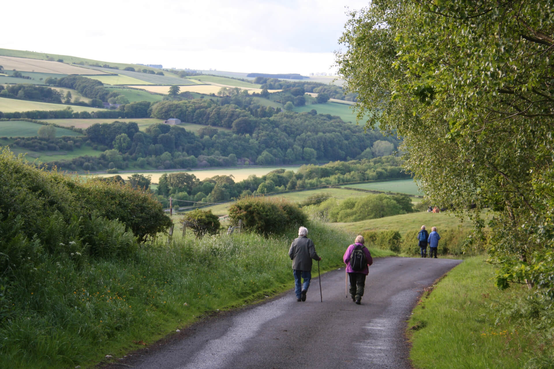 Walking | Haydon Bridge